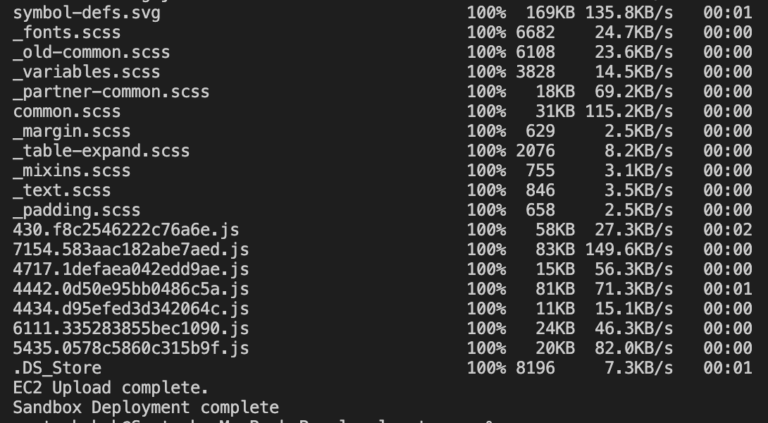 Upload files into AWS EC2 using aws cli